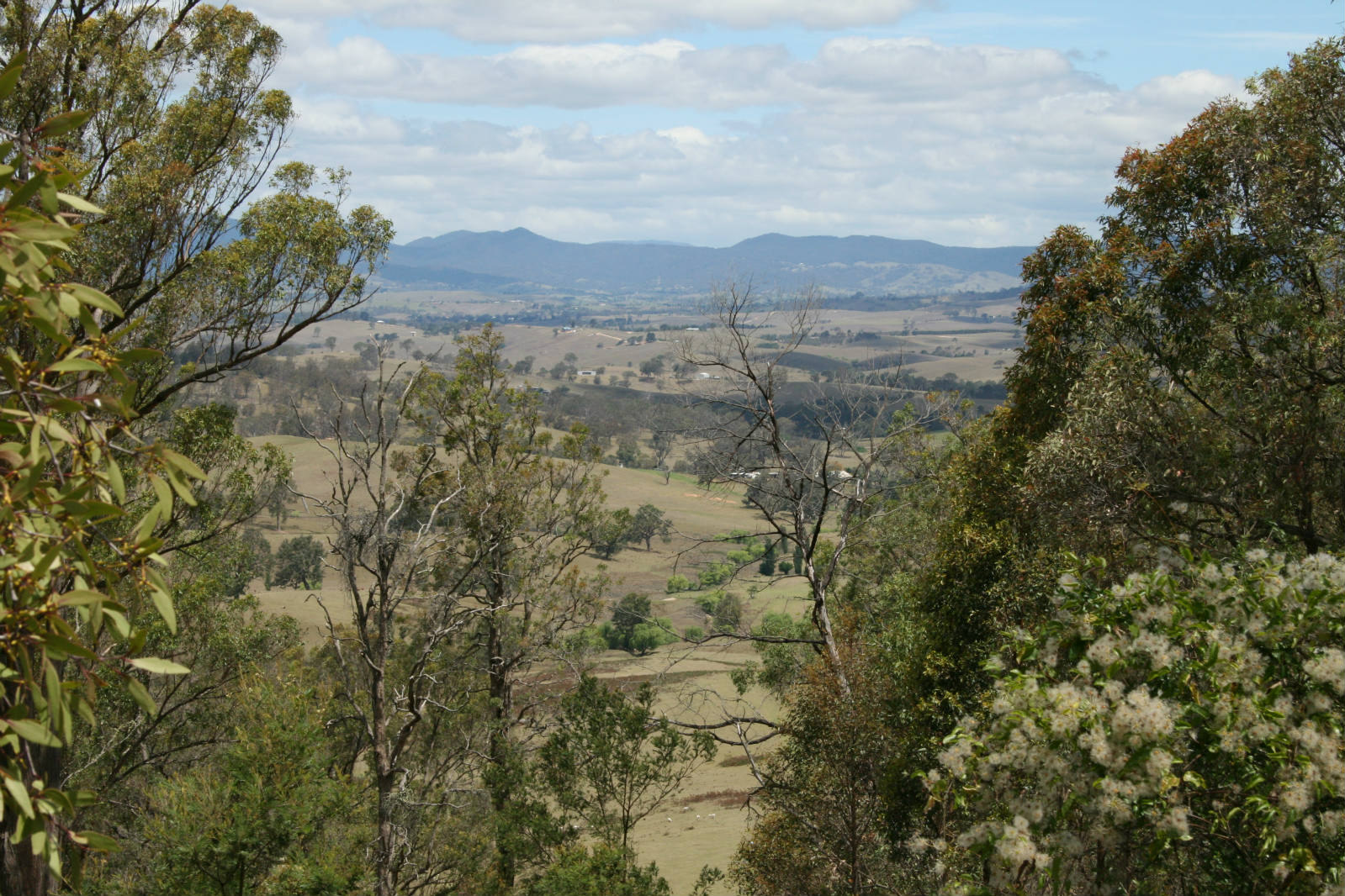 Solve Bega Valley jigsaw puzzle online with 442 pieces