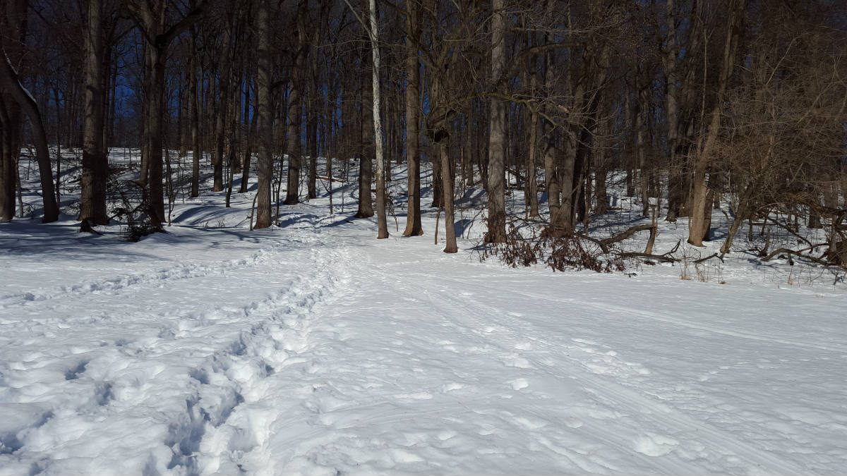 Solve Winter Hiking in Valley Forge National Park jigsaw puzzle online ...
