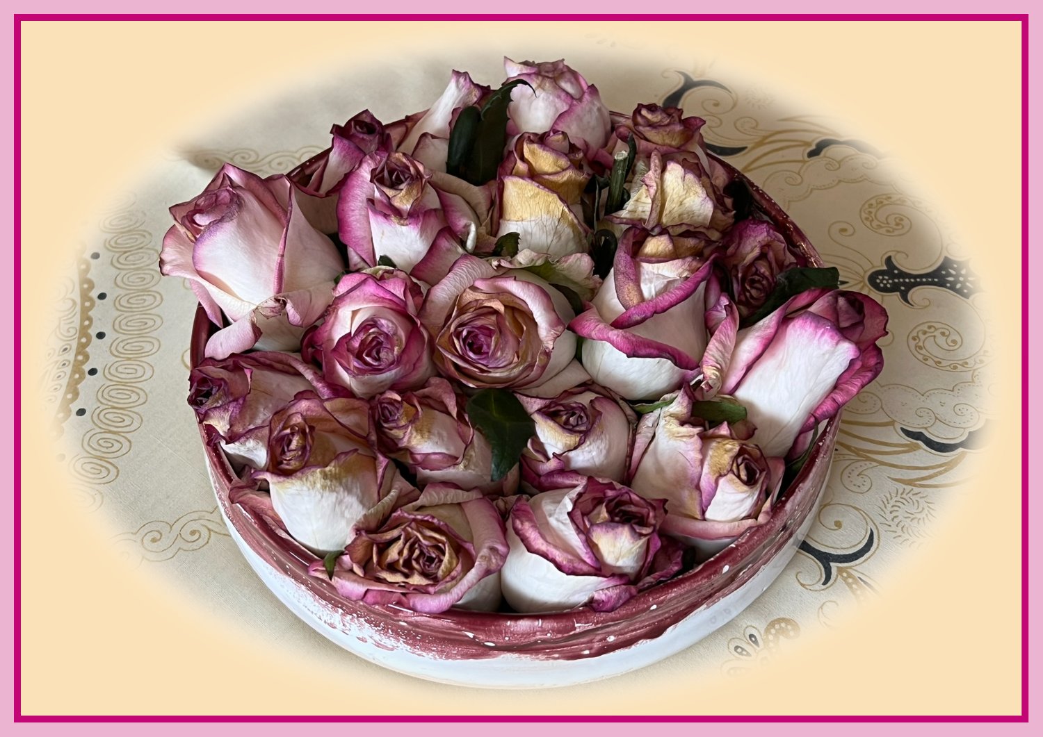 Solve Received roses, 2 weeks later. Gekregen rozen, 2 weken later ...