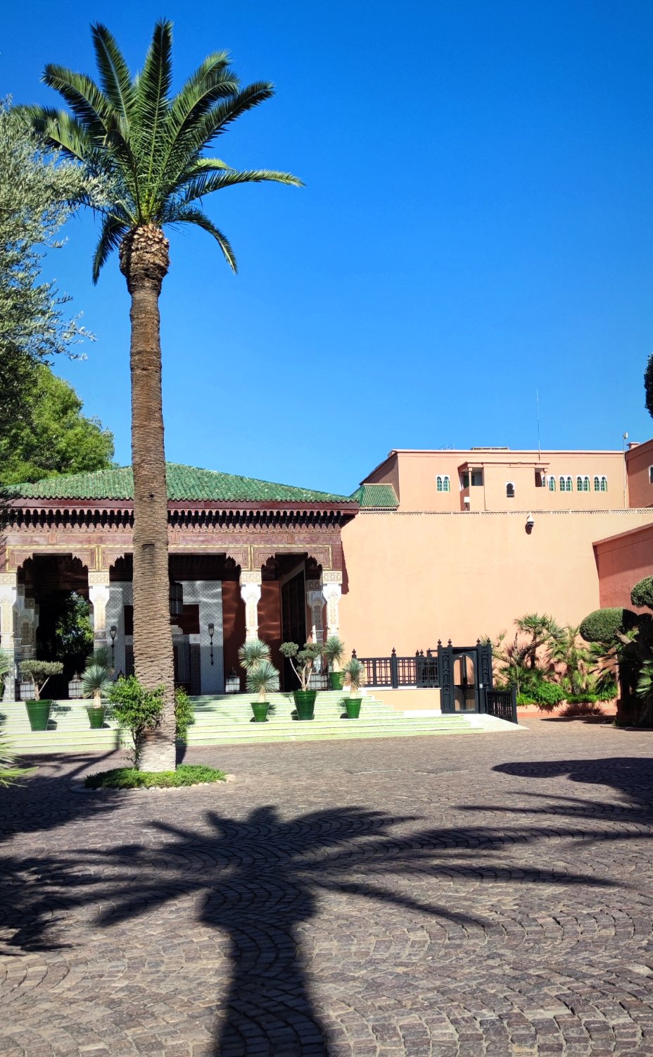 Solve The Shadow jigsaw puzzle online with 60 pieces