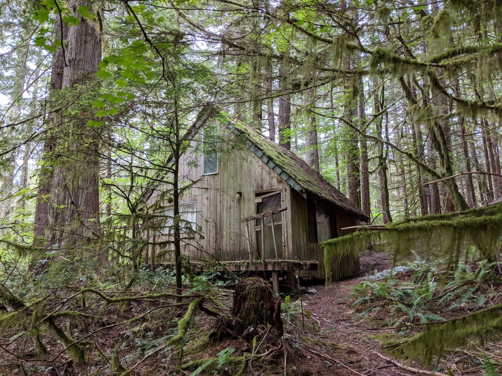 Solve Oregon jigsaw puzzle online with 192 pieces