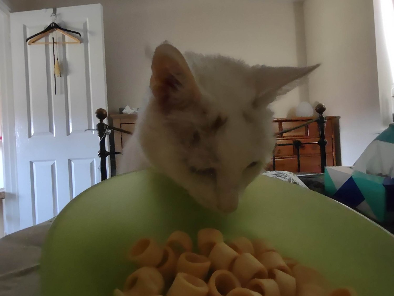 Puzzle | 12 piezas | Remembering Lily 1213 - Hula hoops (crisps/chips ...