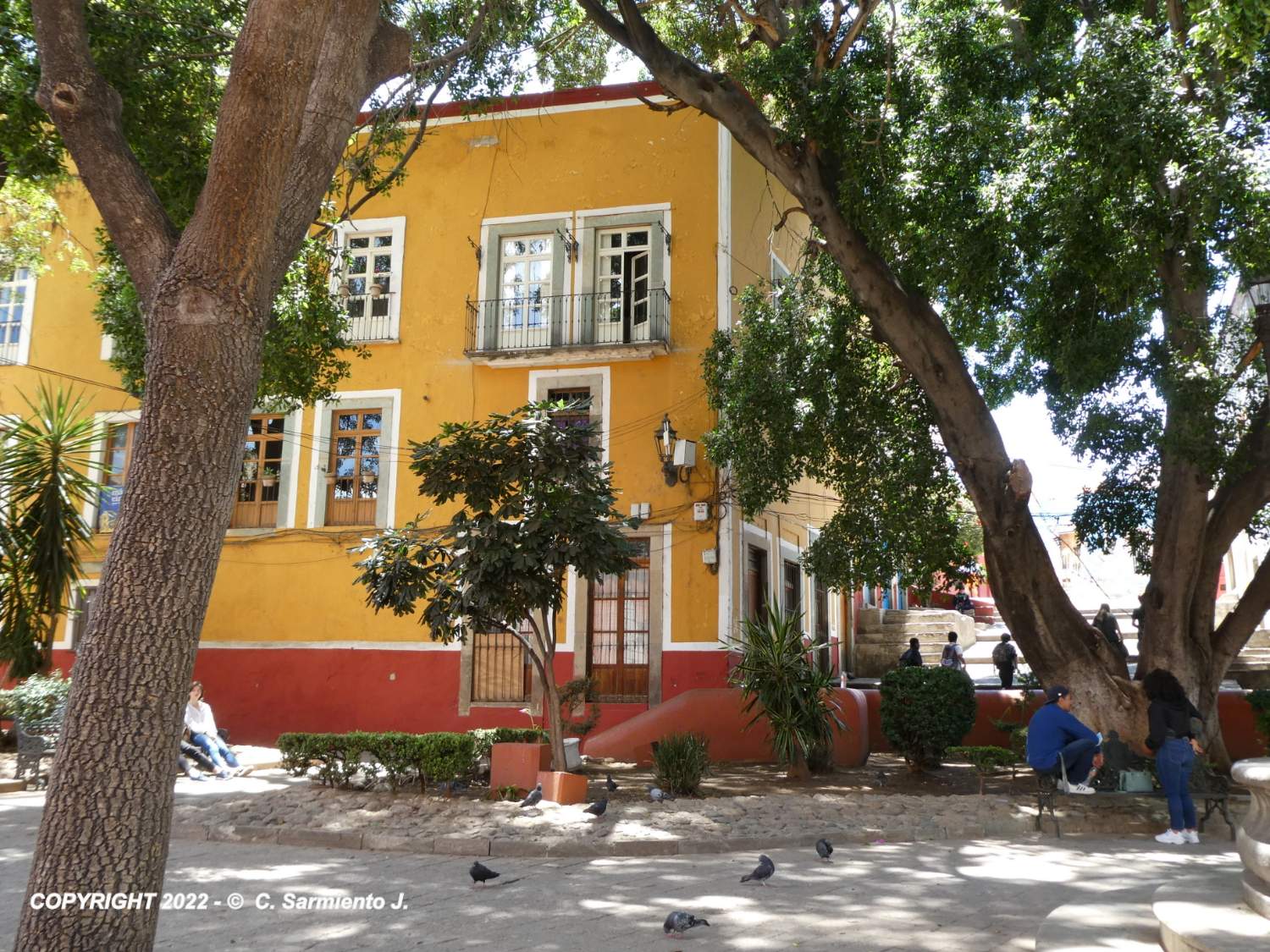 Solve FEBRUARY - CALENDAR PAGE jigsaw puzzle online with 88 pieces