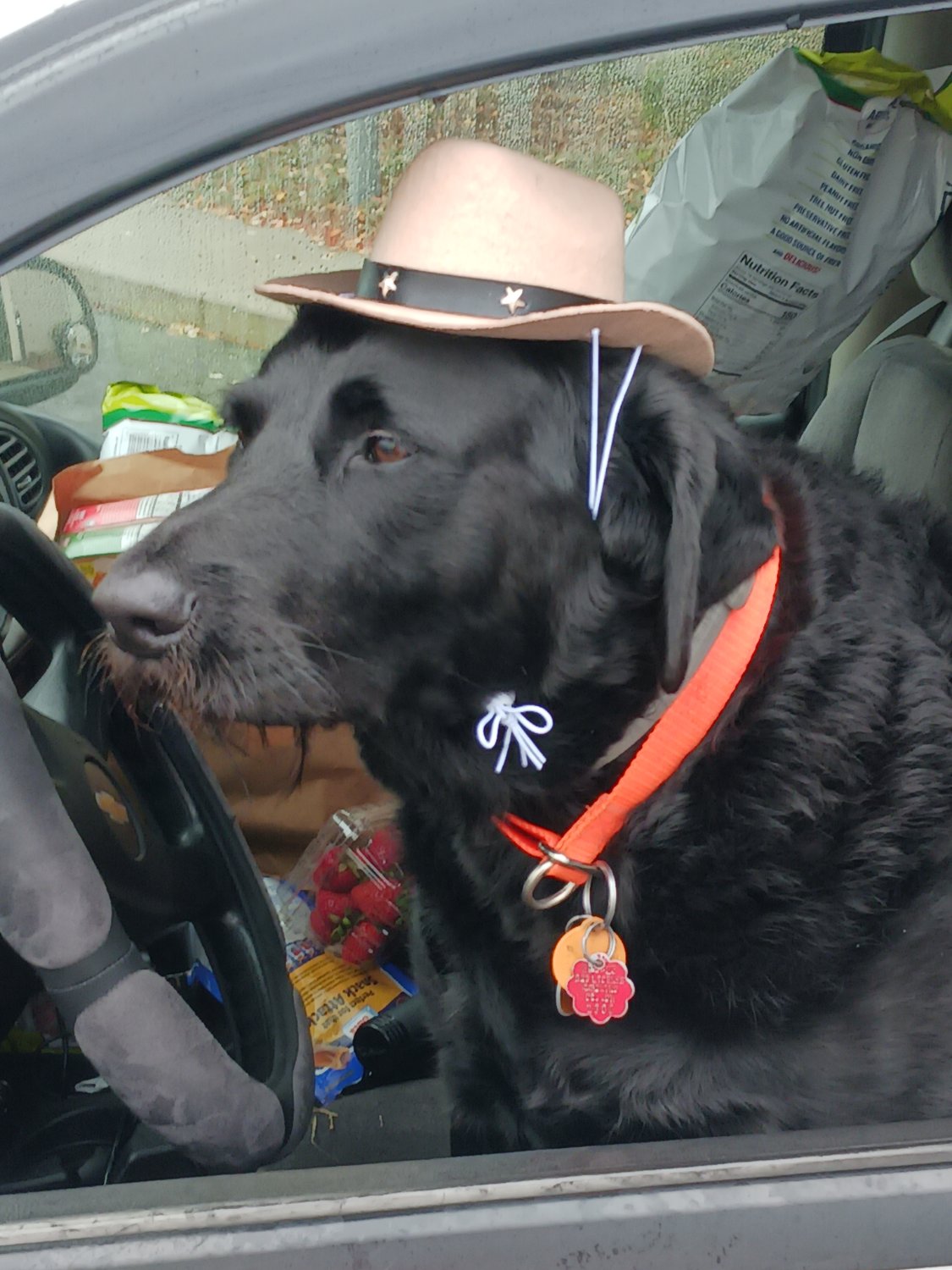 Solve There is a new sheriff in town. jigsaw puzzle online with 108 pieces