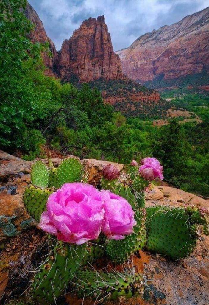 Solve Utah_America jigsaw puzzle online with 117 pieces