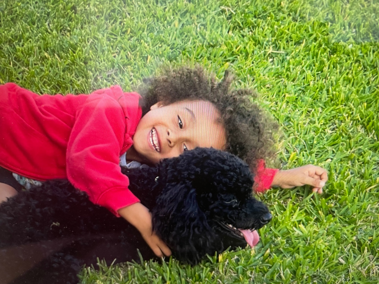 Solve Bermuda - Banx and Izzy jigsaw puzzle online with 12 pieces