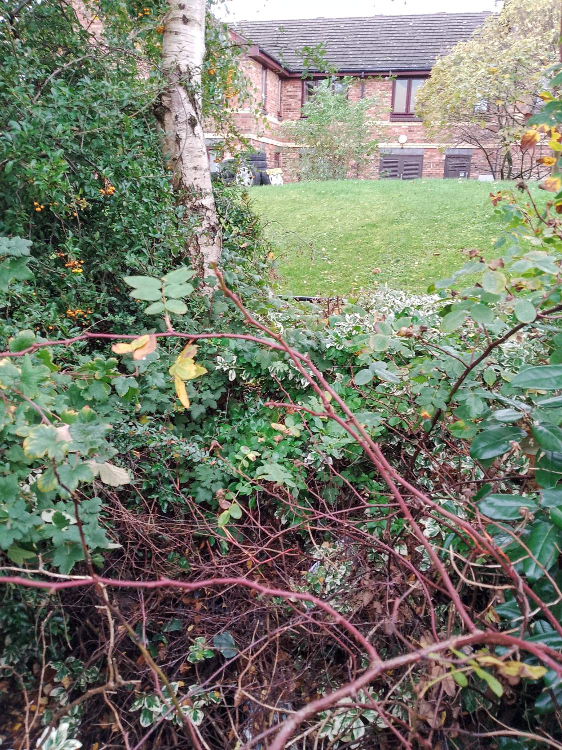 Solve Tyre Car. jigsaw puzzle online with 130 pieces