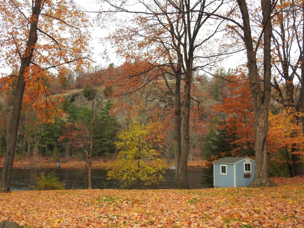 Solve “It looked like the world was covered in a cobbler crust of brown ...