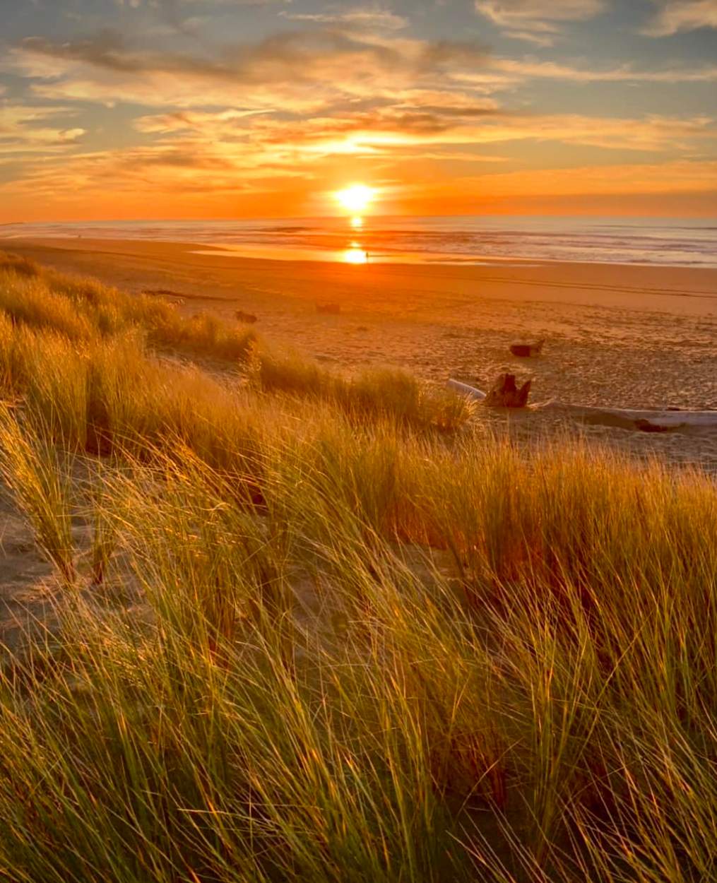 Solve Samoa Beach Sunset, Eureka, CA jigsaw puzzle online with 80 pieces