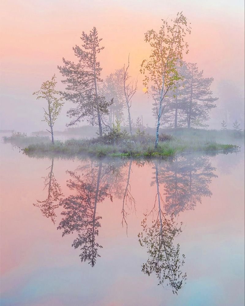 Solve Foggy reflection jigsaw puzzle online with 80 pieces