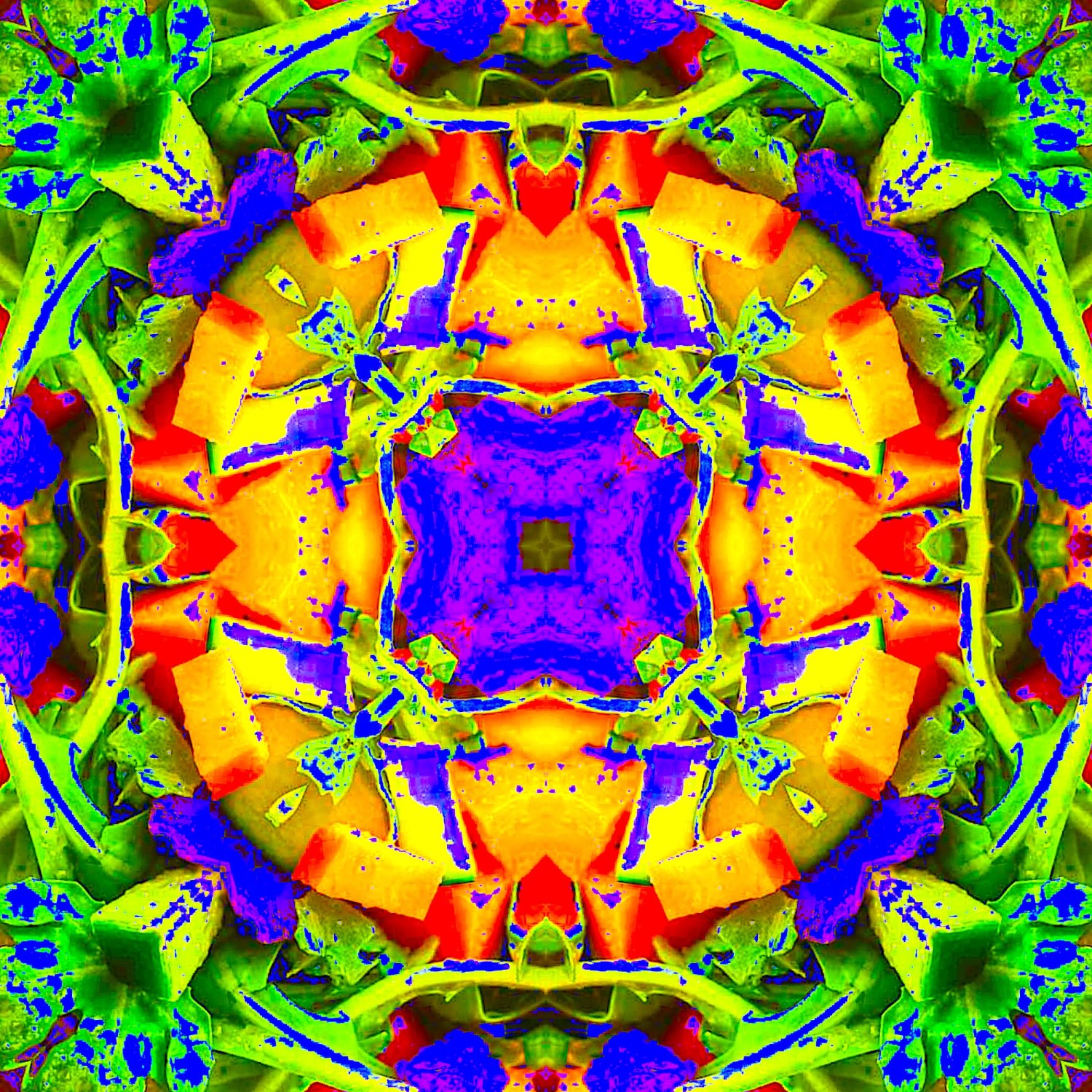 Solve #1 small jigsaw puzzle online with 64 pieces