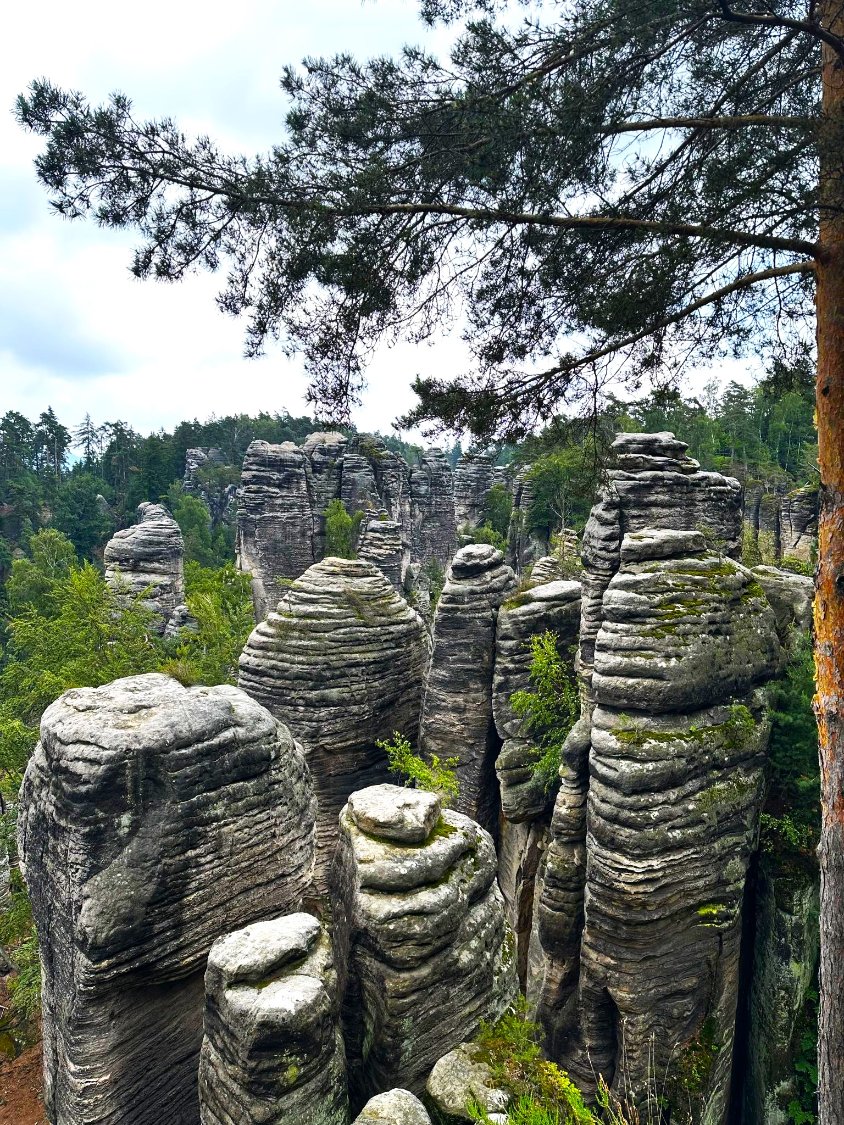 Solve Prachovské skály jigsaw puzzle online with 12 pieces