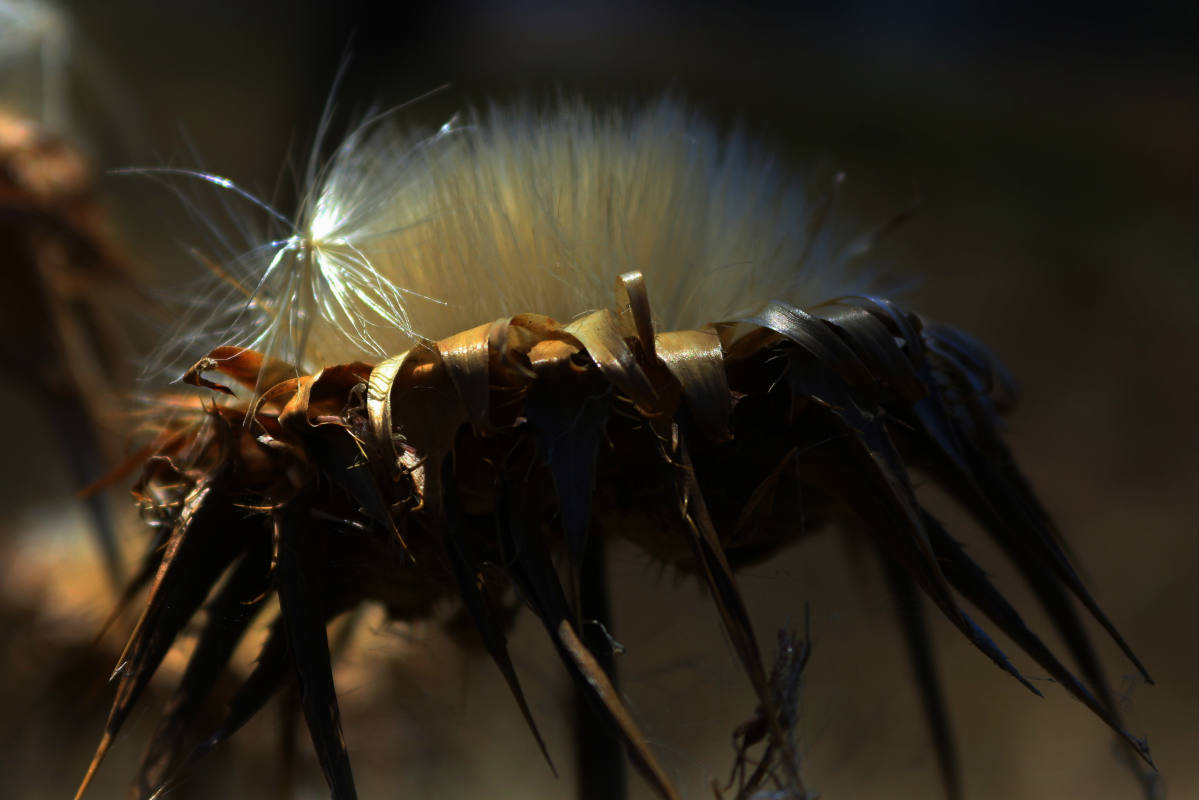 Solve One o'clock, two o'clock ... jigsaw puzzle online with 40 pieces