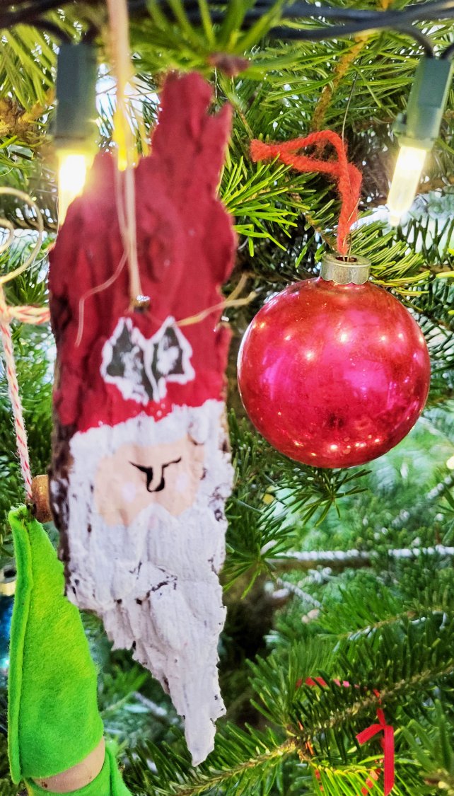 Solve Bark Santa jigsaw puzzle online with 15 pieces