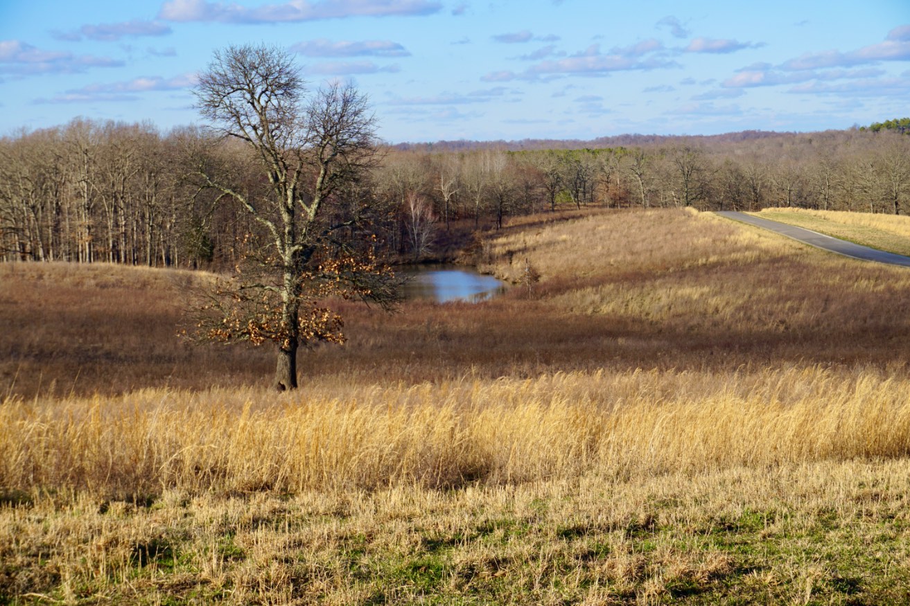 Solve Winter . . on its way out jigsaw puzzle online with 24 pieces