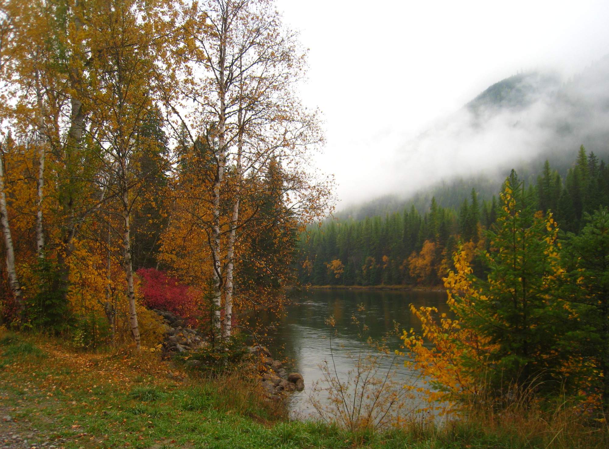 Solve October in Montana jigsaw puzzle online with 221 pieces