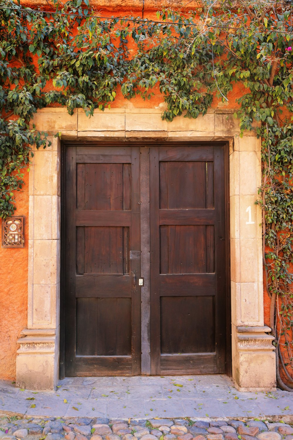 Solve Door jigsaw puzzle online with 40 pieces