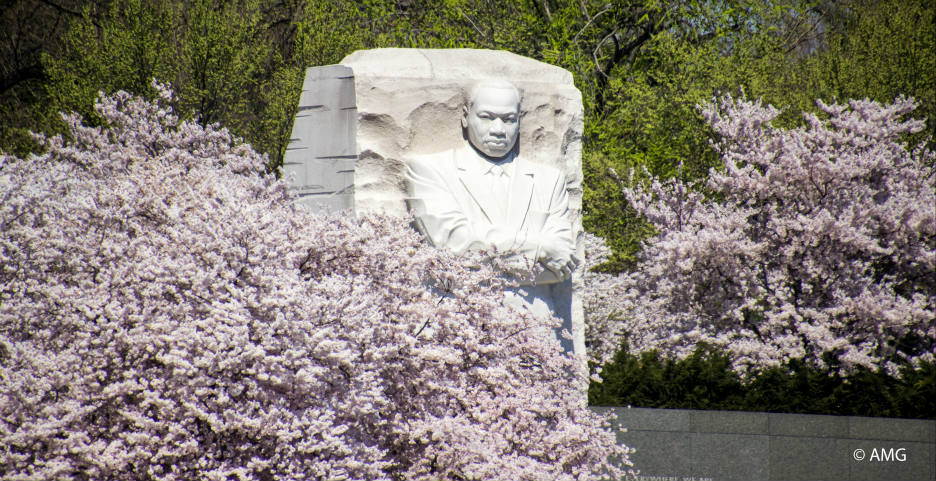 Solve Martin Luther King, Jr. Memorial jigsaw puzzle online with 15 pieces