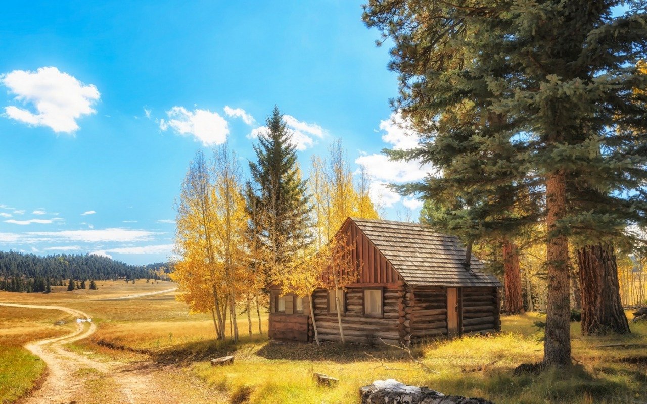 Solve Country log cabin jigsaw puzzle online with 96 pieces