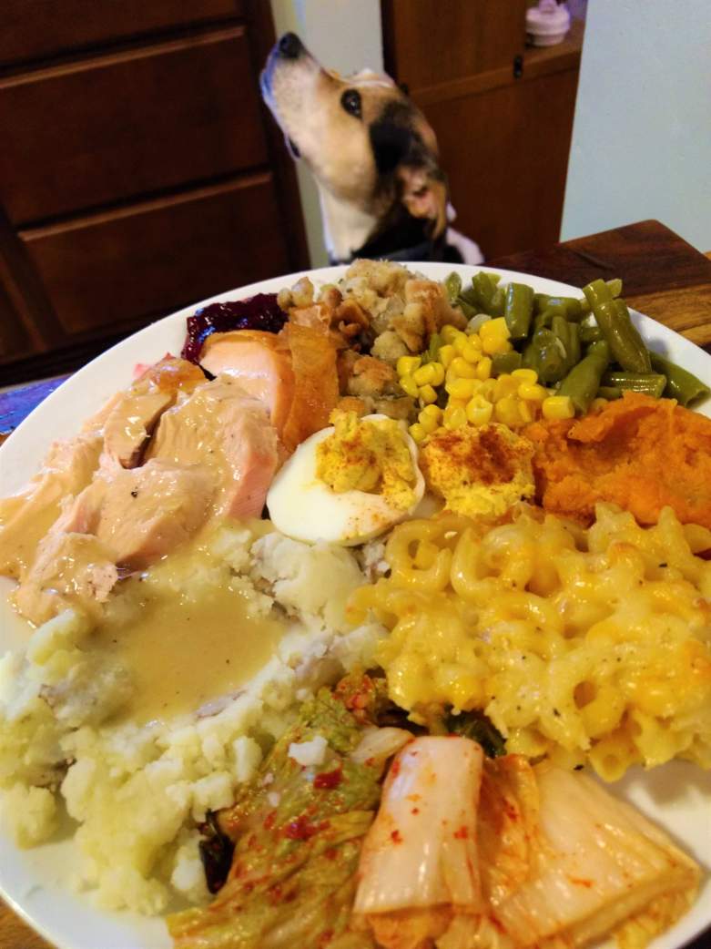 Solve Turkey and sides - the Beagle is not one of the sides, she's a ...