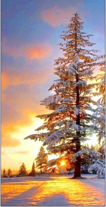 Jigsaw Puzzle | Strom_Tree | 28 pieces | Jigidi