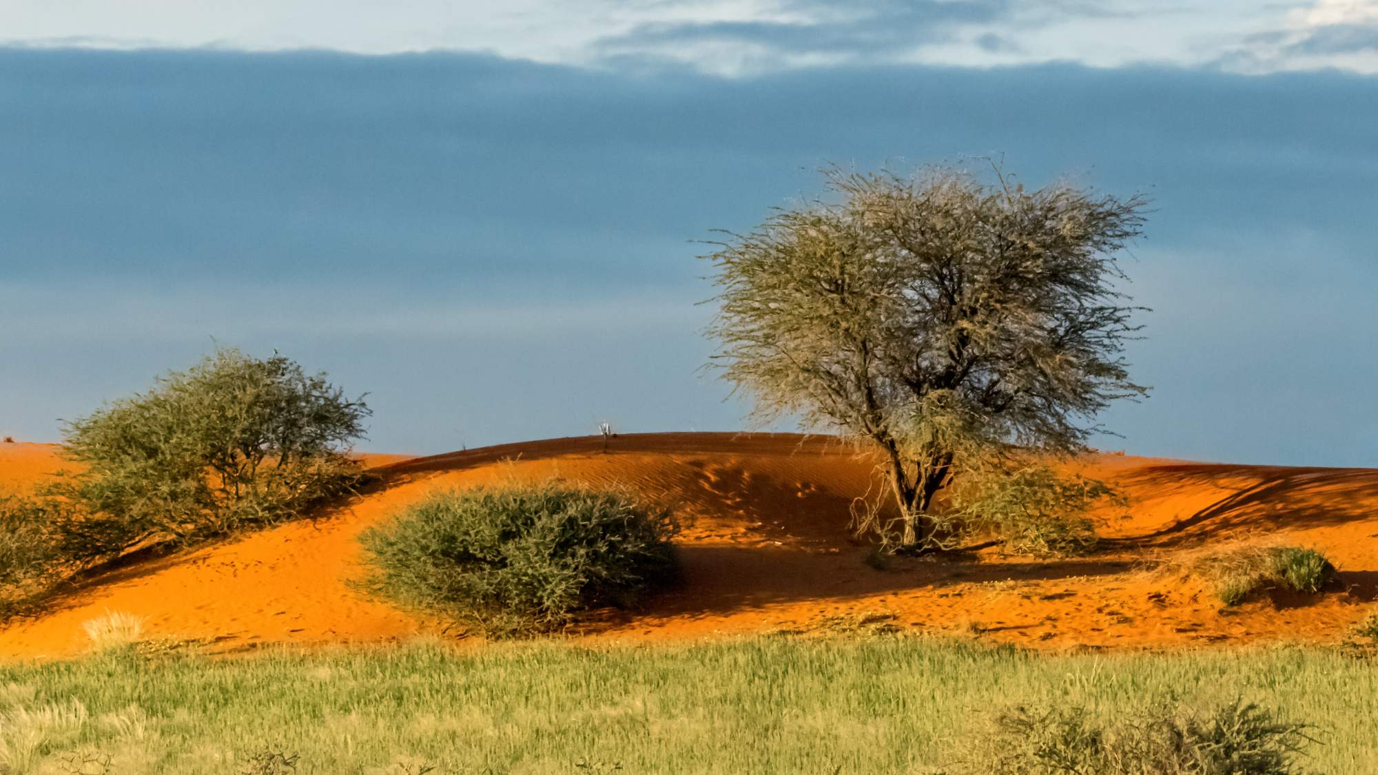 Solve Namibia jigsaw puzzle online with 198 pieces