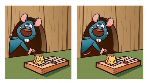 Solve 3 errors jigsaw puzzle online with 18 pieces