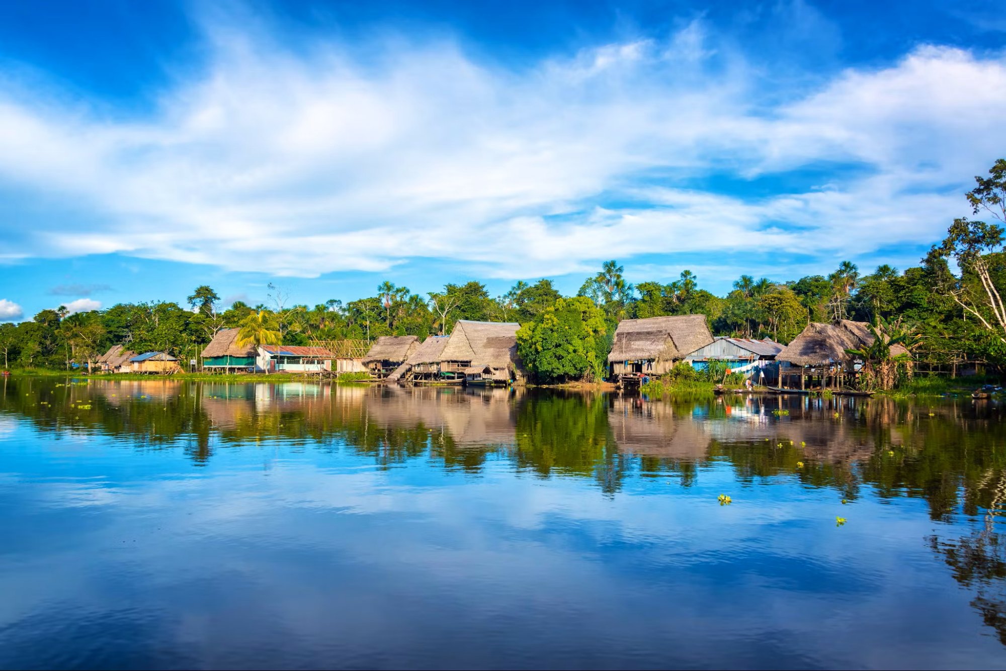 Solve Houses on the banks of the Amazon River in the city of Iquitos ...