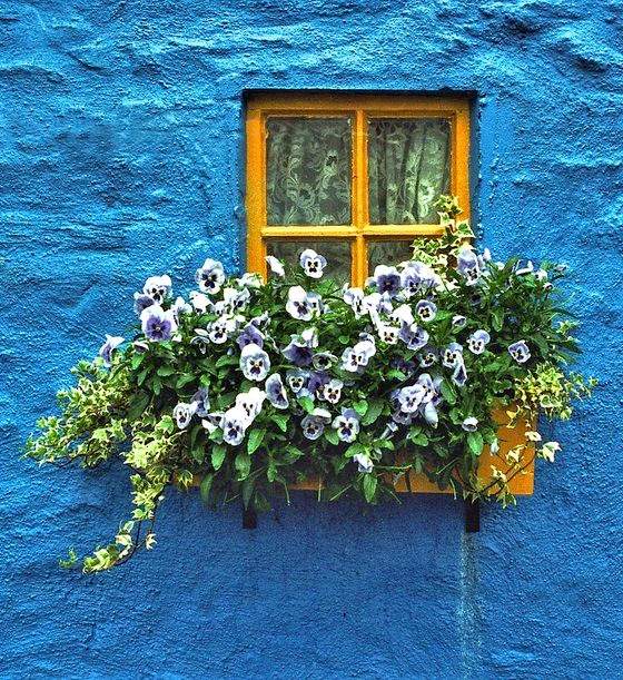 Solve BEAUTIFUL WINDOW jigsaw puzzle online with 72 pieces