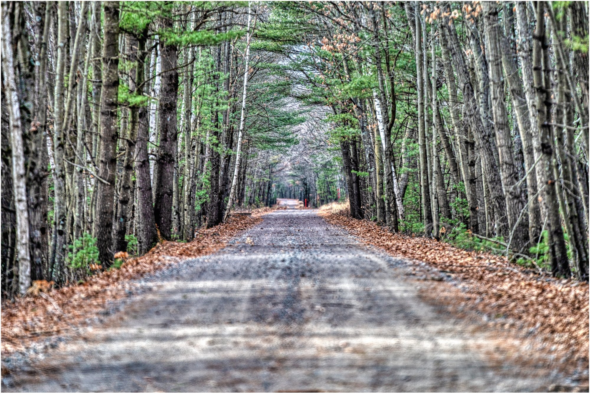 Solve Life is a Dirt Road in 600 Pieces jigsaw puzzle online with 600 ...