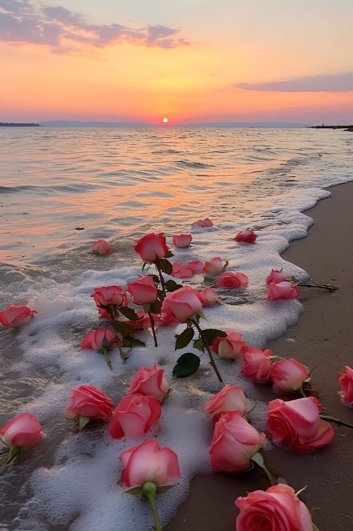 Solve ocean roses jigsaw puzzle online with 24 pieces
