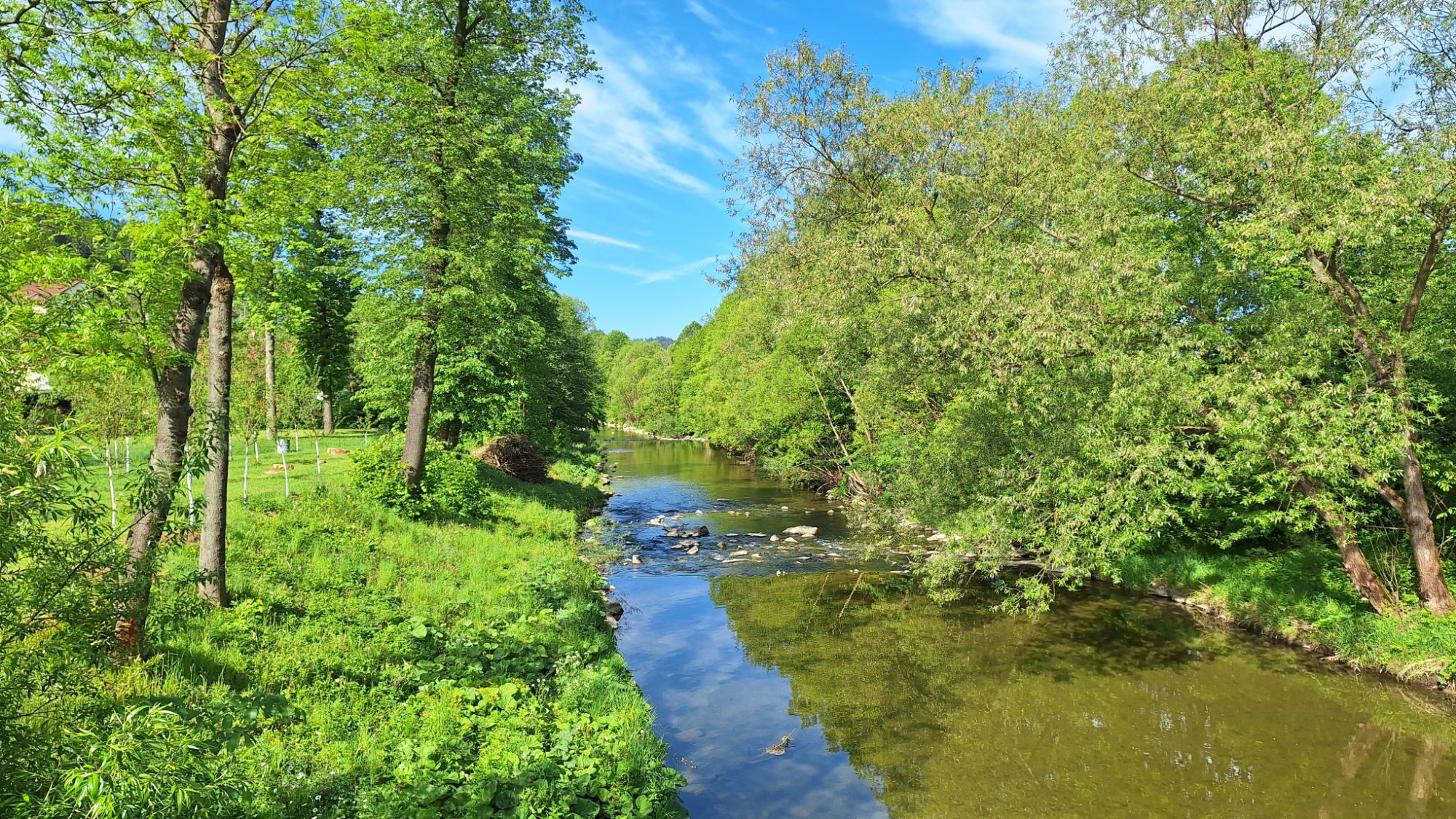 Jigsaw Puzzle | 60 pieces | Bečva river | Jigidi
