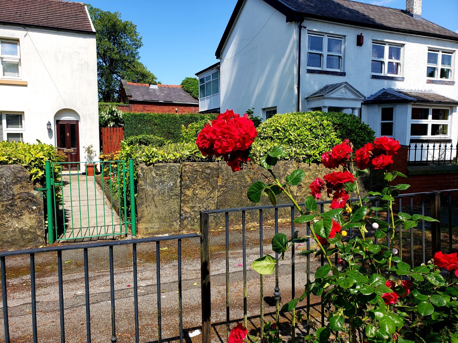 Solve Red Roses and Cottages jigsaw puzzle online with 48 pieces