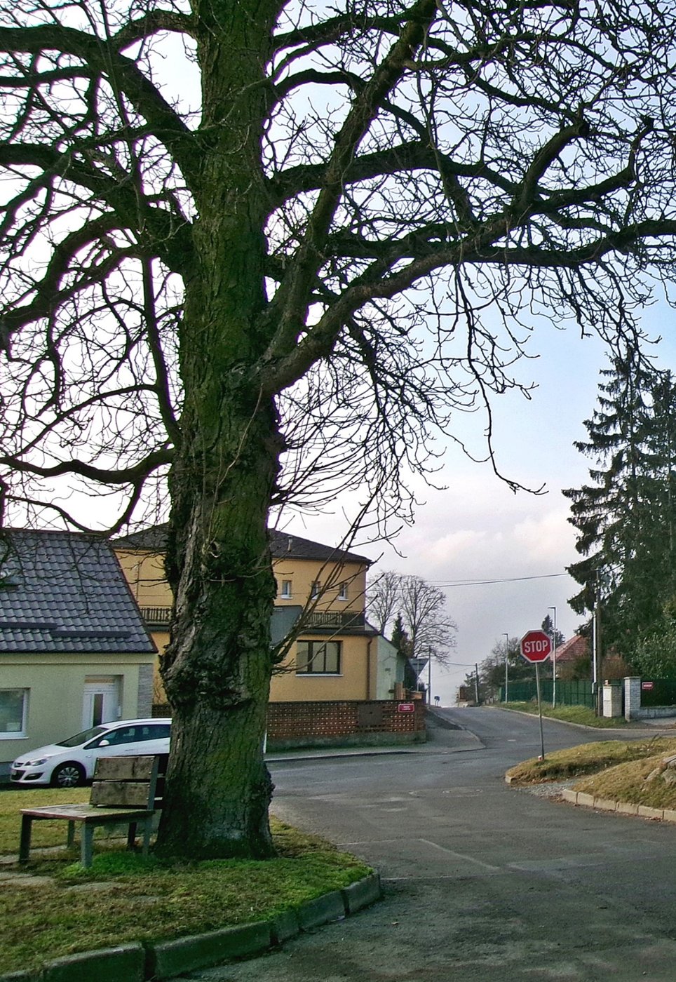 Solve strom jigsaw puzzle online with 35 pieces