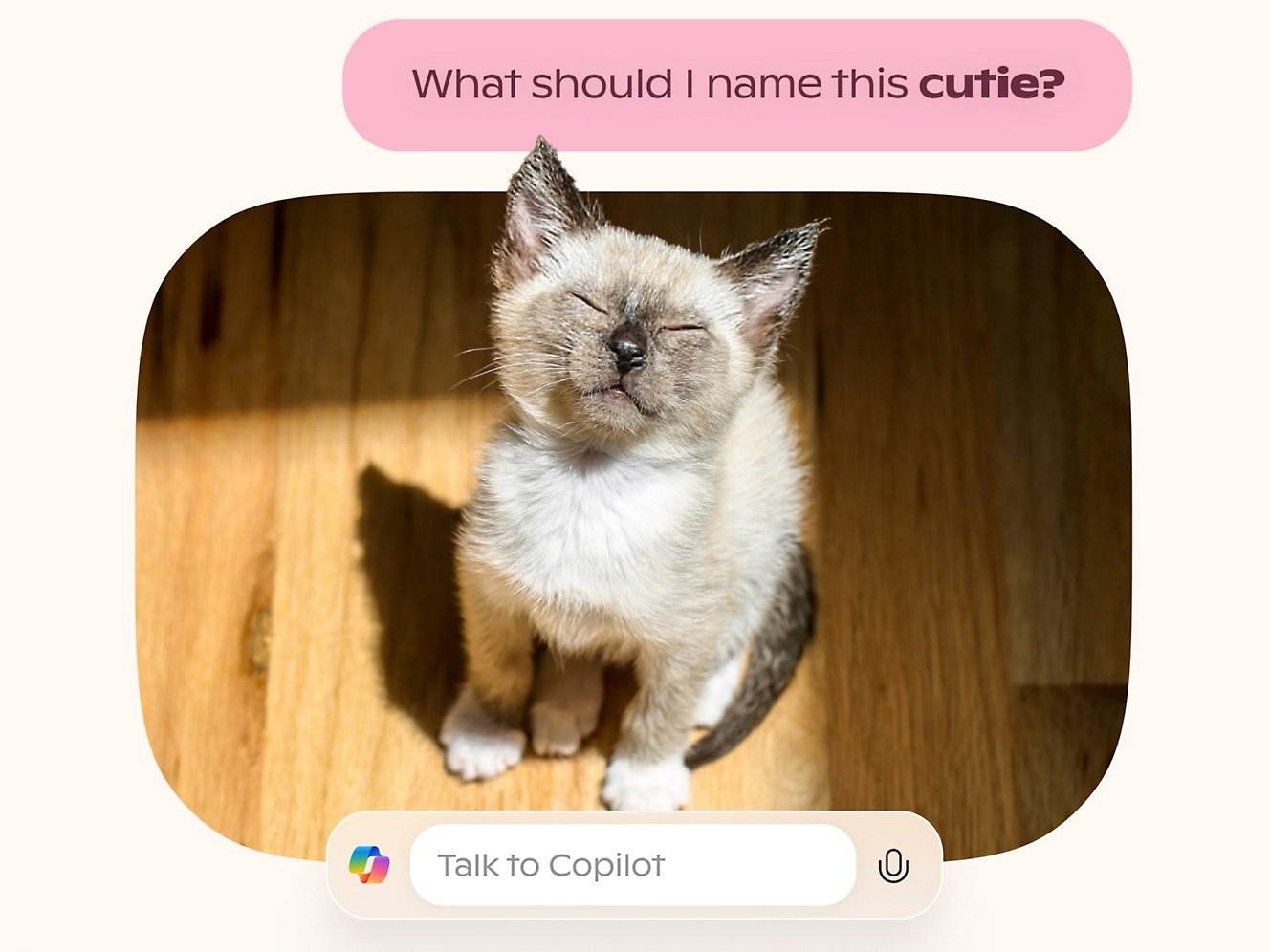Solve Cutie Jigsaw Puzzle Online With 88 Pieces