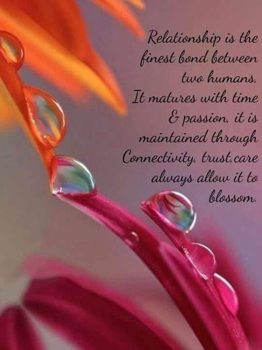 Solve 4 ~ "Relationship is the finest bond between ..." jigsaw puzzle ...