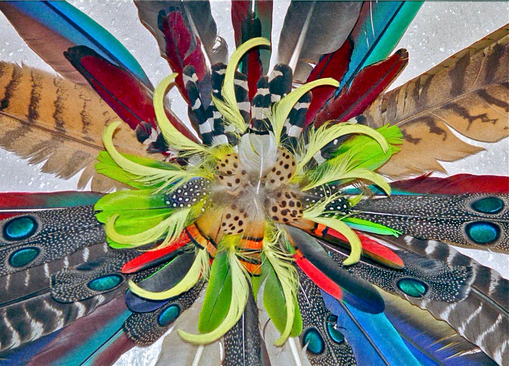 Solve Feathers jigsaw puzzle online with 96 pieces