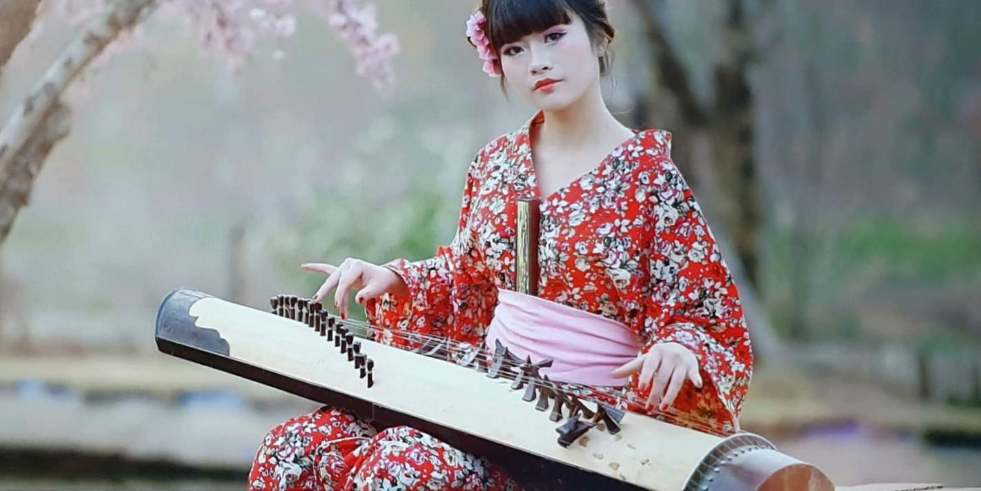 Solve THE JAPANESE KIMONO jigsaw puzzle online with 28 pieces