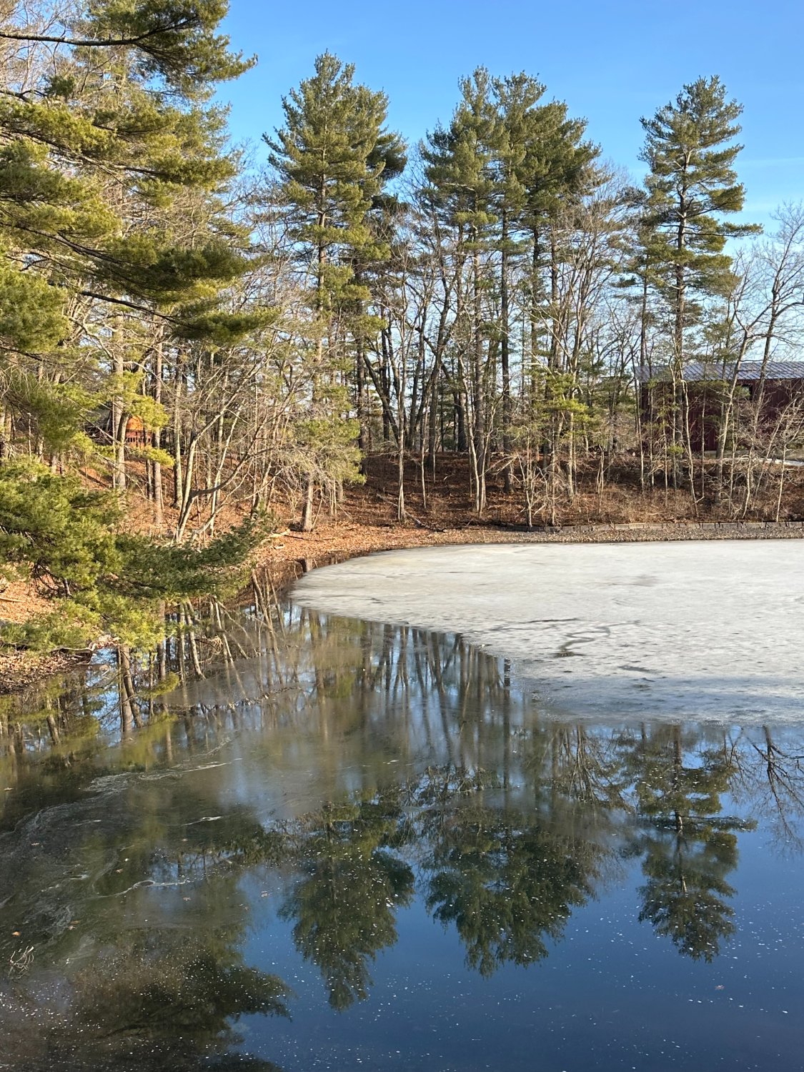 Solve Last of the ice jigsaw puzzle online with 108 pieces