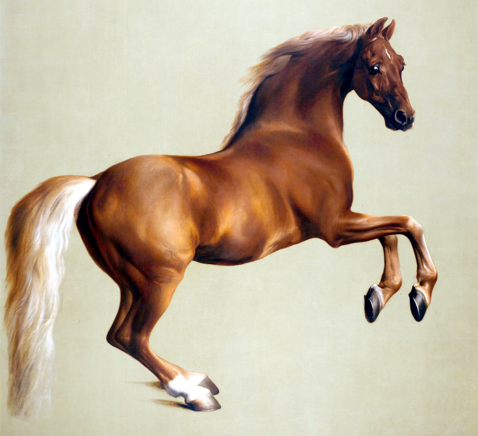 Solve George Stubbs - Whistlejacket (1762) jigsaw puzzle online with ...