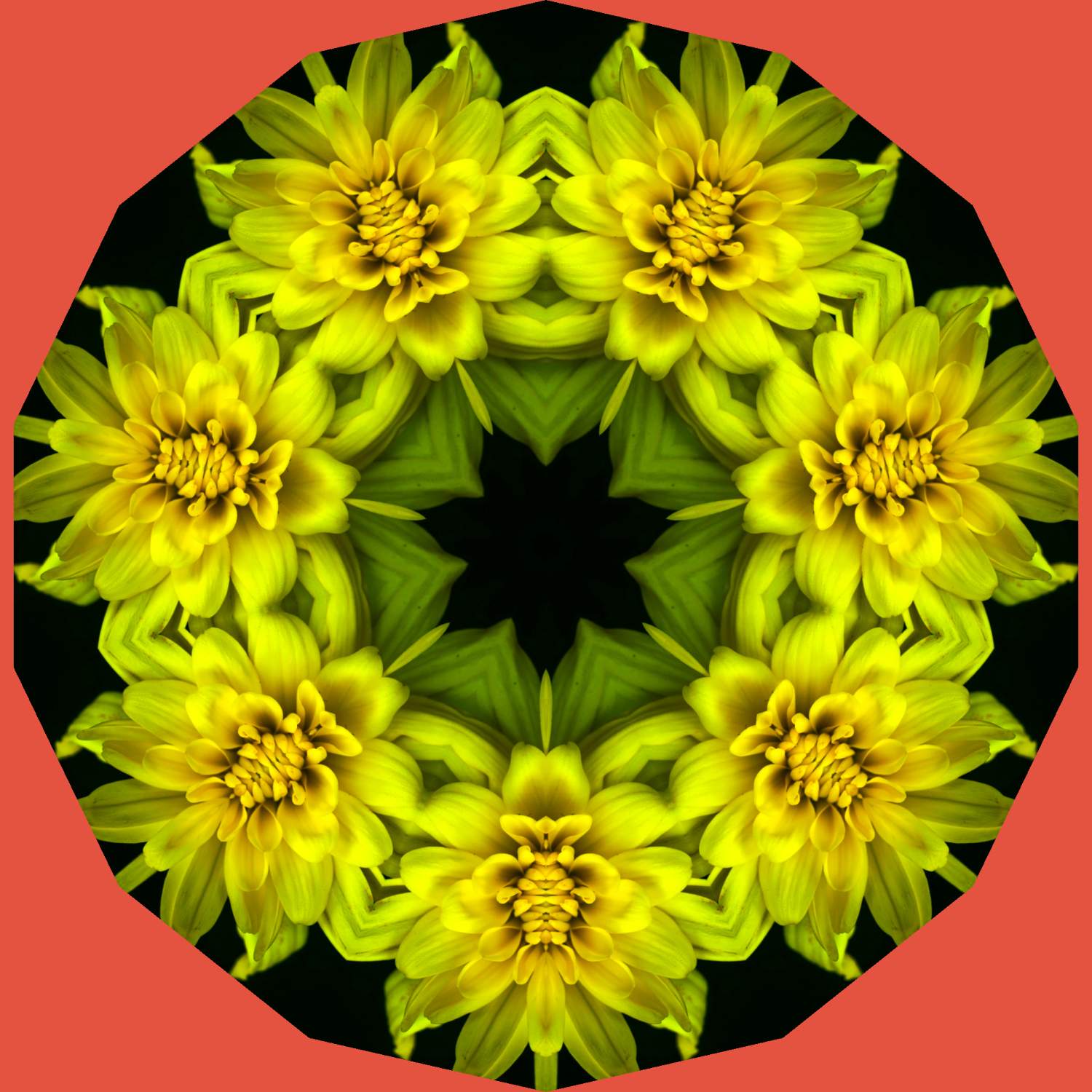 Solve #2 large jigsaw puzzle online with 144 pieces