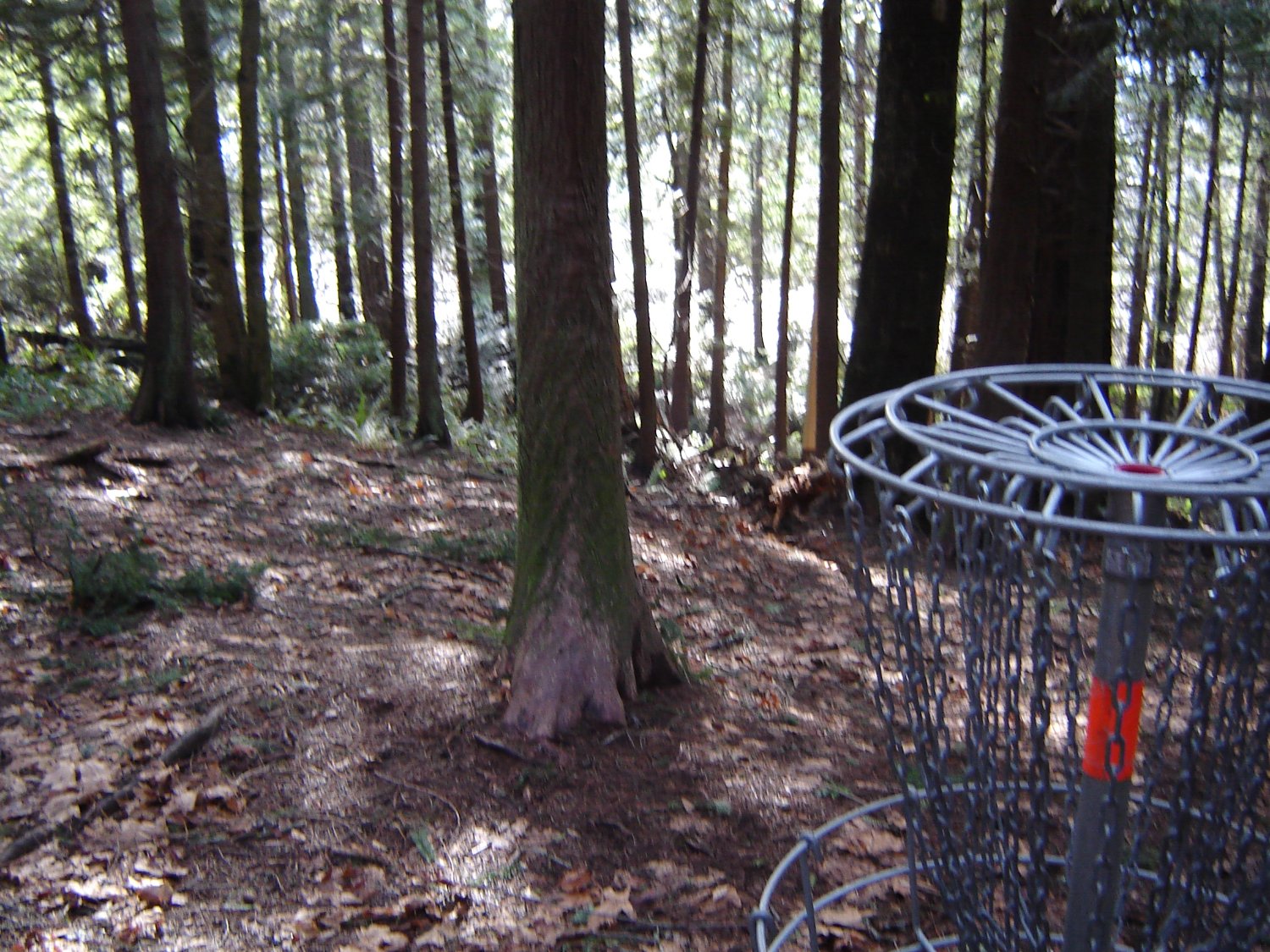 Solve The Beauty of Disc Golf jigsaw puzzle online with 12 pieces