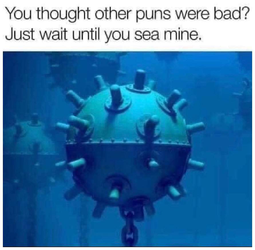 Solve Other Puns jigsaw puzzle online with 36 pieces