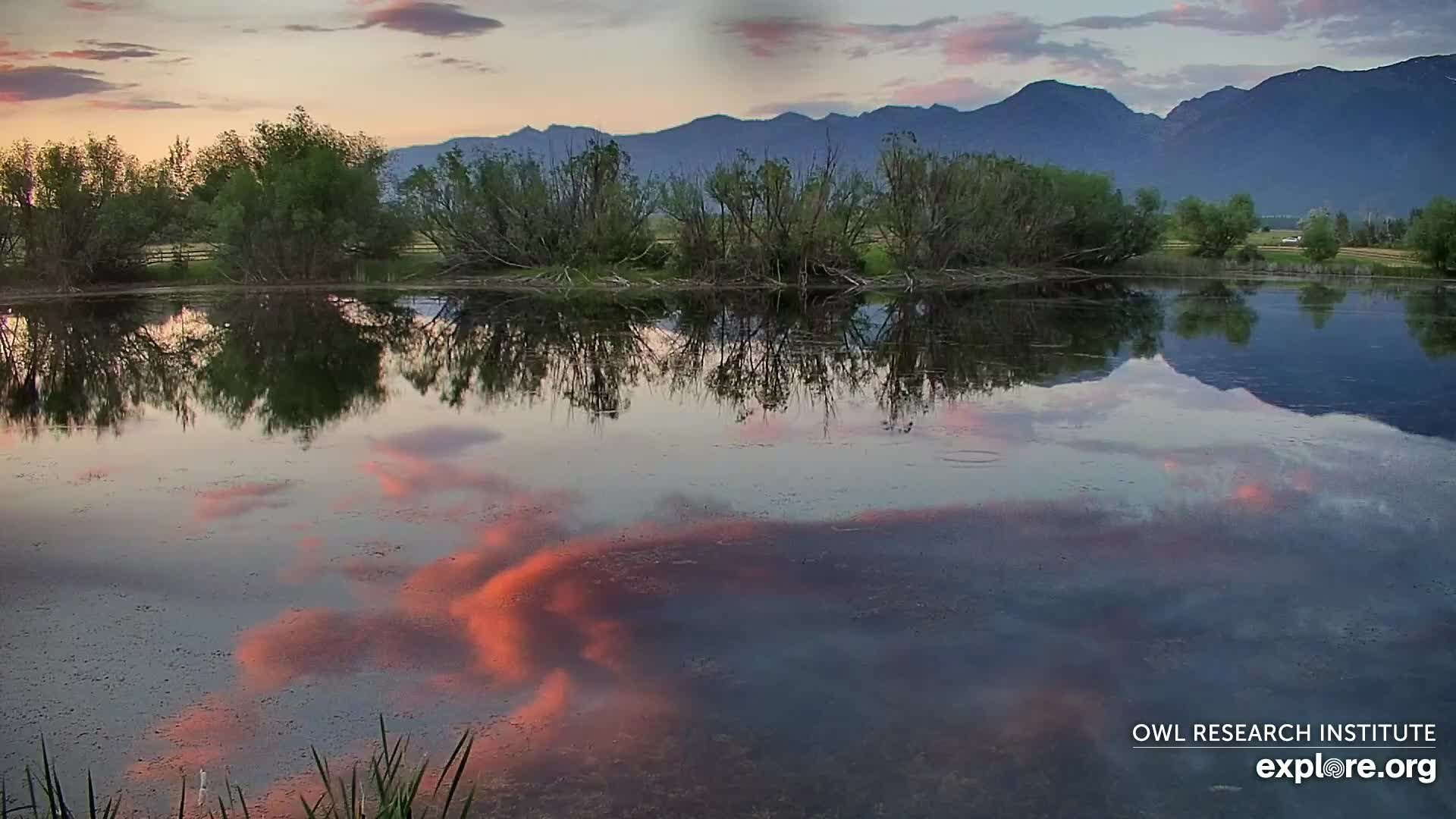 Jigsaw Puzzle | 170 pieces | June 26, 2025 Sunset Reflections | Jigidi