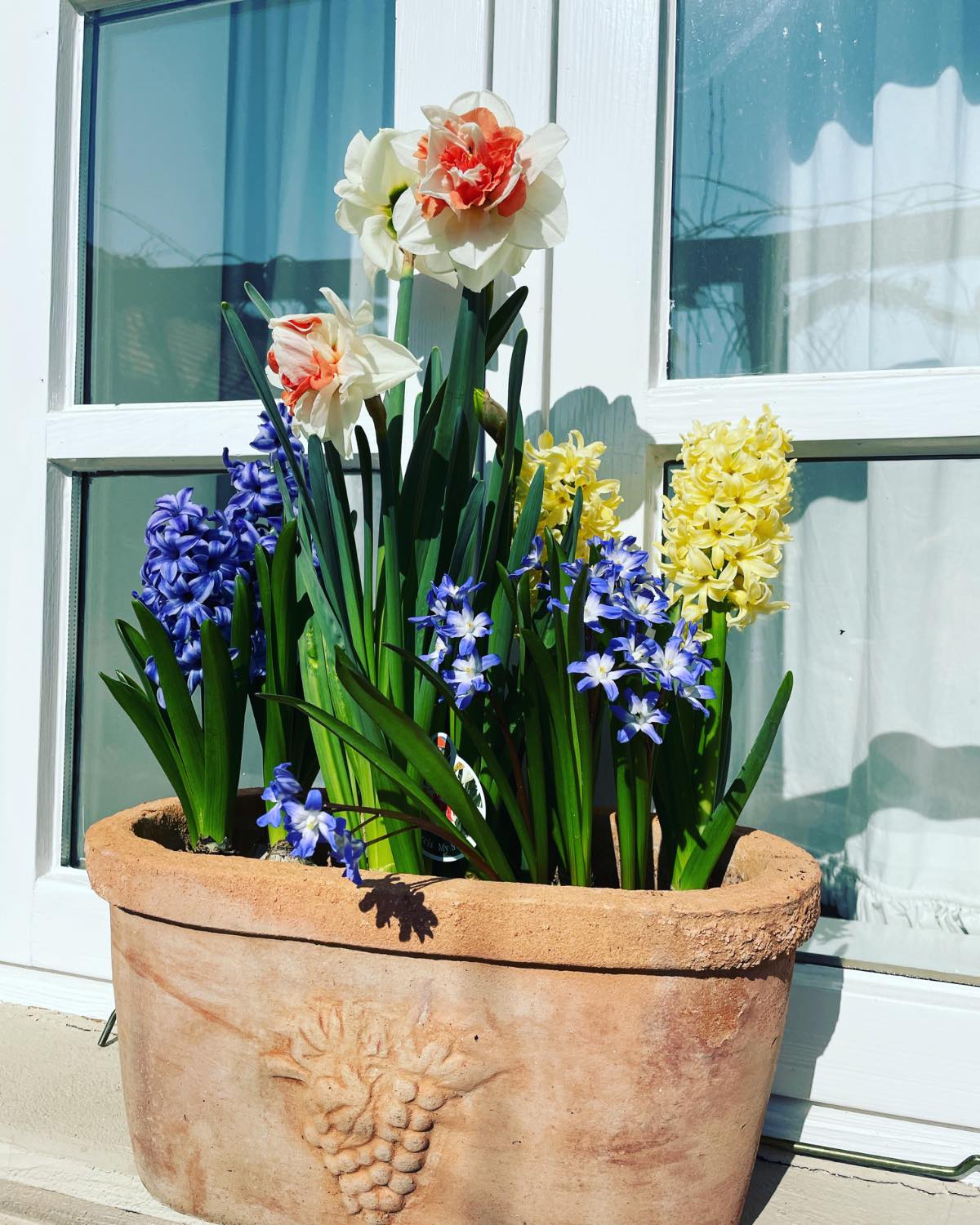 Solve Spring Flowers jigsaw puzzle online with 154 pieces