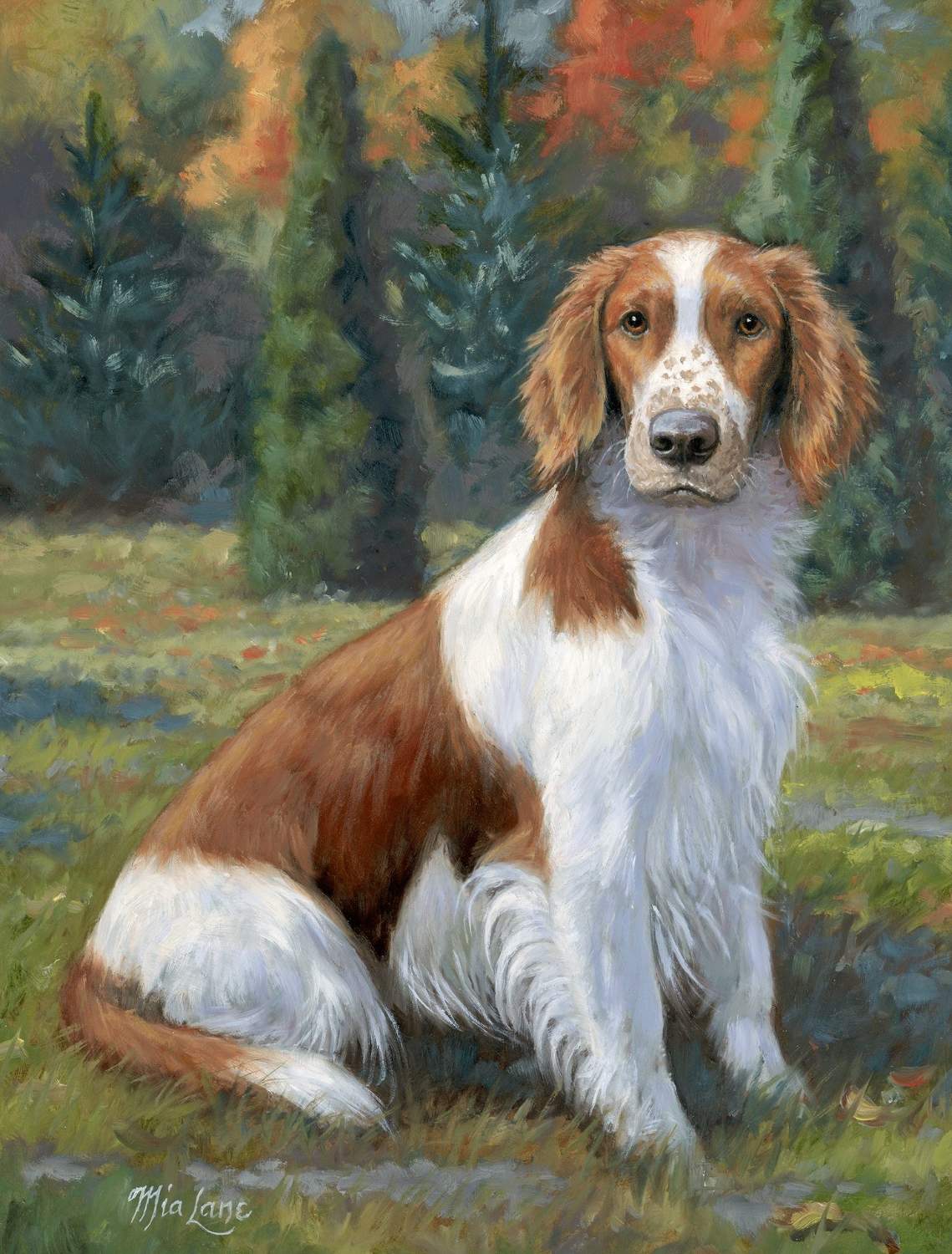 Solve Welsh Springer Spaniel jigsaw puzzle online with 165 pieces