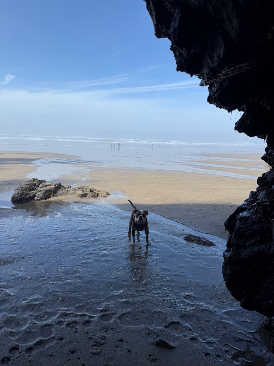 Solve Almost Brave Enough jigsaw puzzle online with 352 pieces