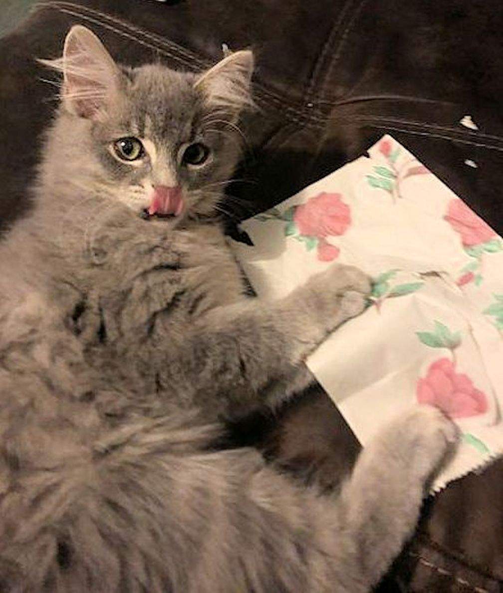 Solve delta with flowers jigsaw puzzle online with 154 pieces