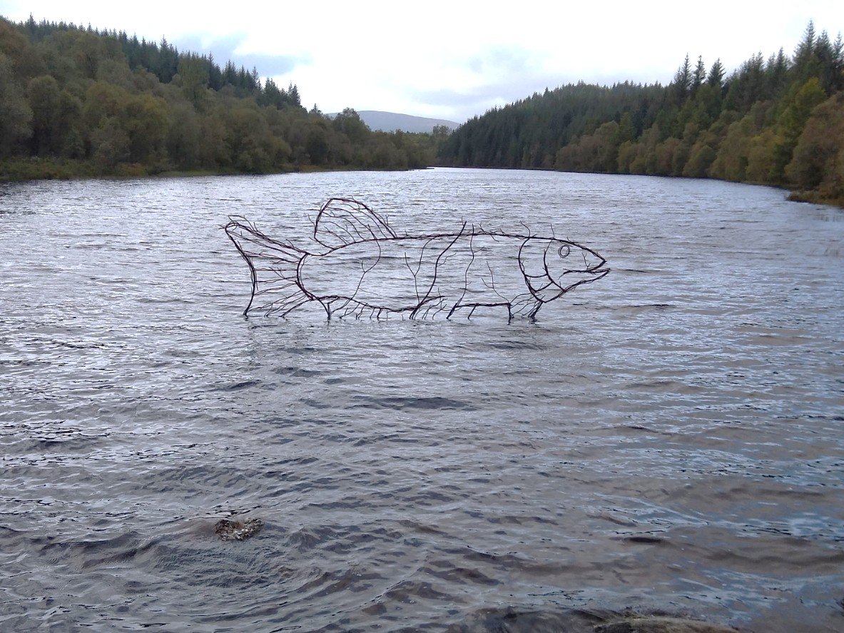 Solve Lochan Spling fish jigsaw puzzle online with 88 pieces