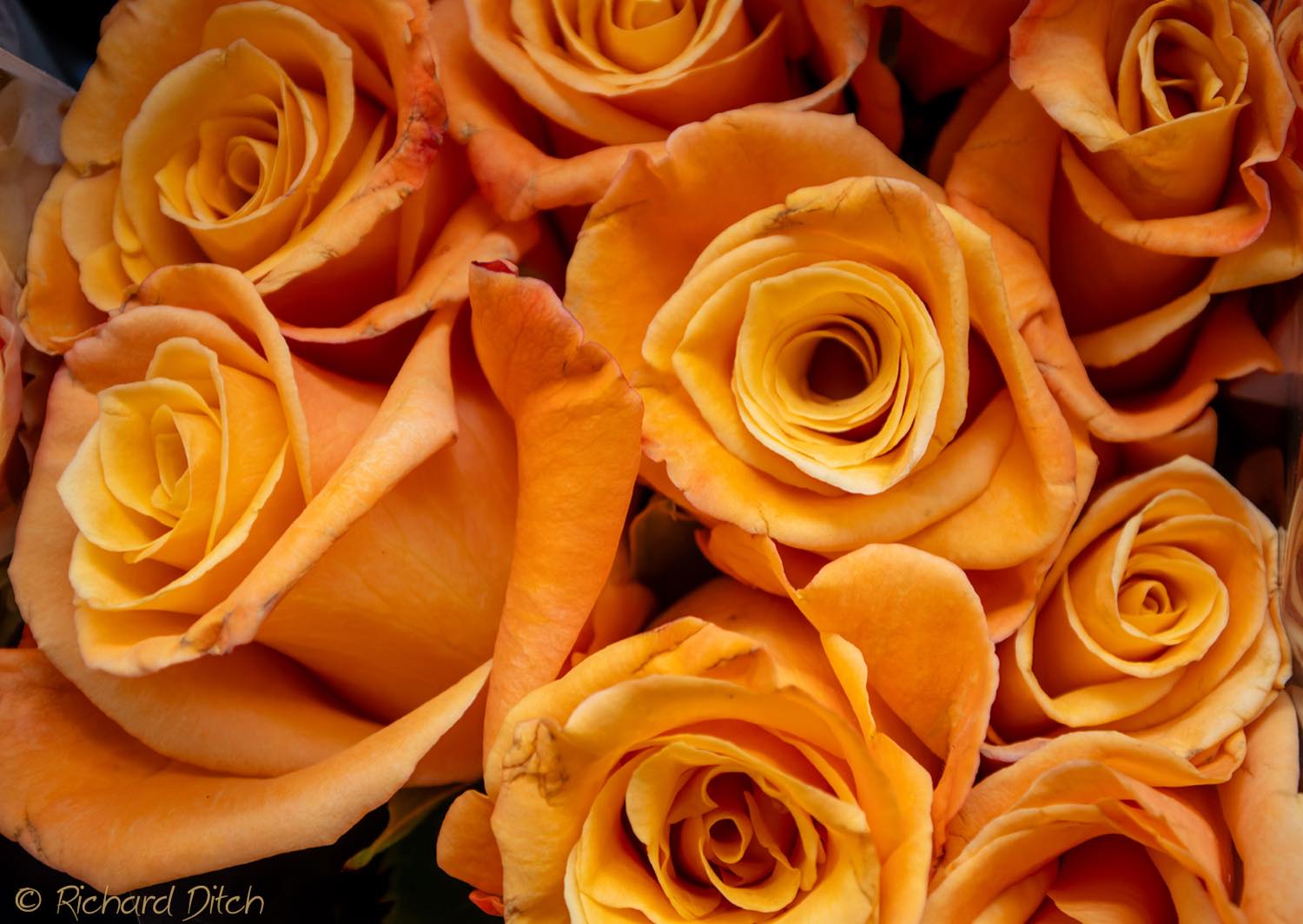 Solve Store Roses jigsaw puzzle online with 96 pieces